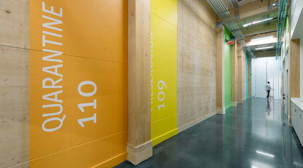 University of Arkansas Mass Timber Residence Halls: Design and ...